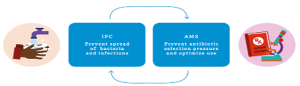 Introduction - Swissnoso